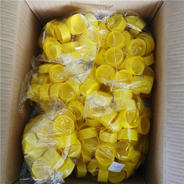 Scaffolding Accessories Scaffold Pipe Tube Plastic End Cap from China ...